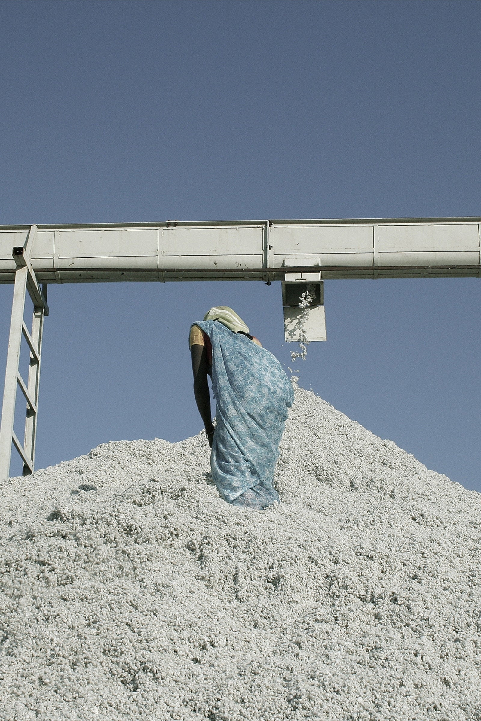 Kowtow Impact Report | Kowtow