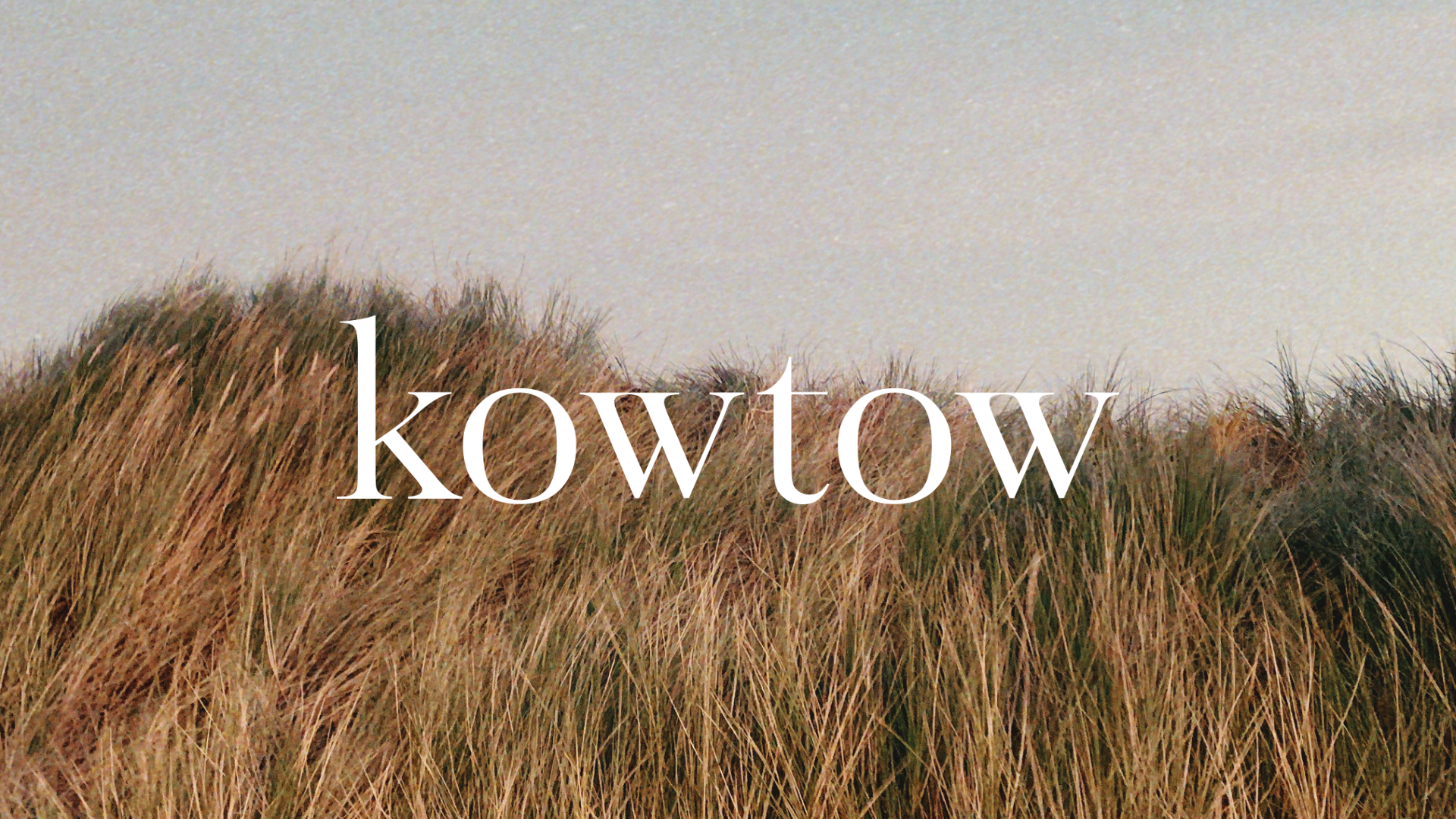 Stores | Kowtow